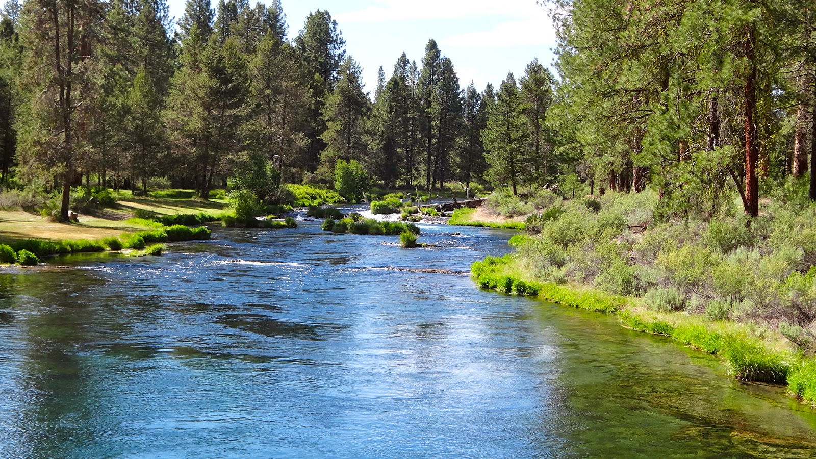The Fly Syndicate: Williamson River - Some of Oregon's Finest Spring ...