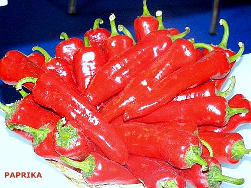 PAPRIKA PERUANA SALE DE CASA
