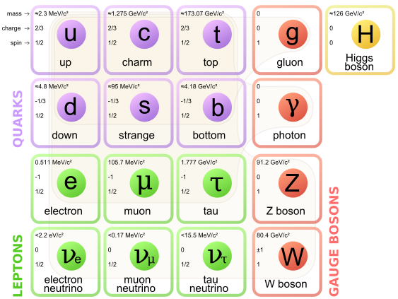 Common Denominator: Friday Gen Eds MS3: The Atom and Quantum Physics