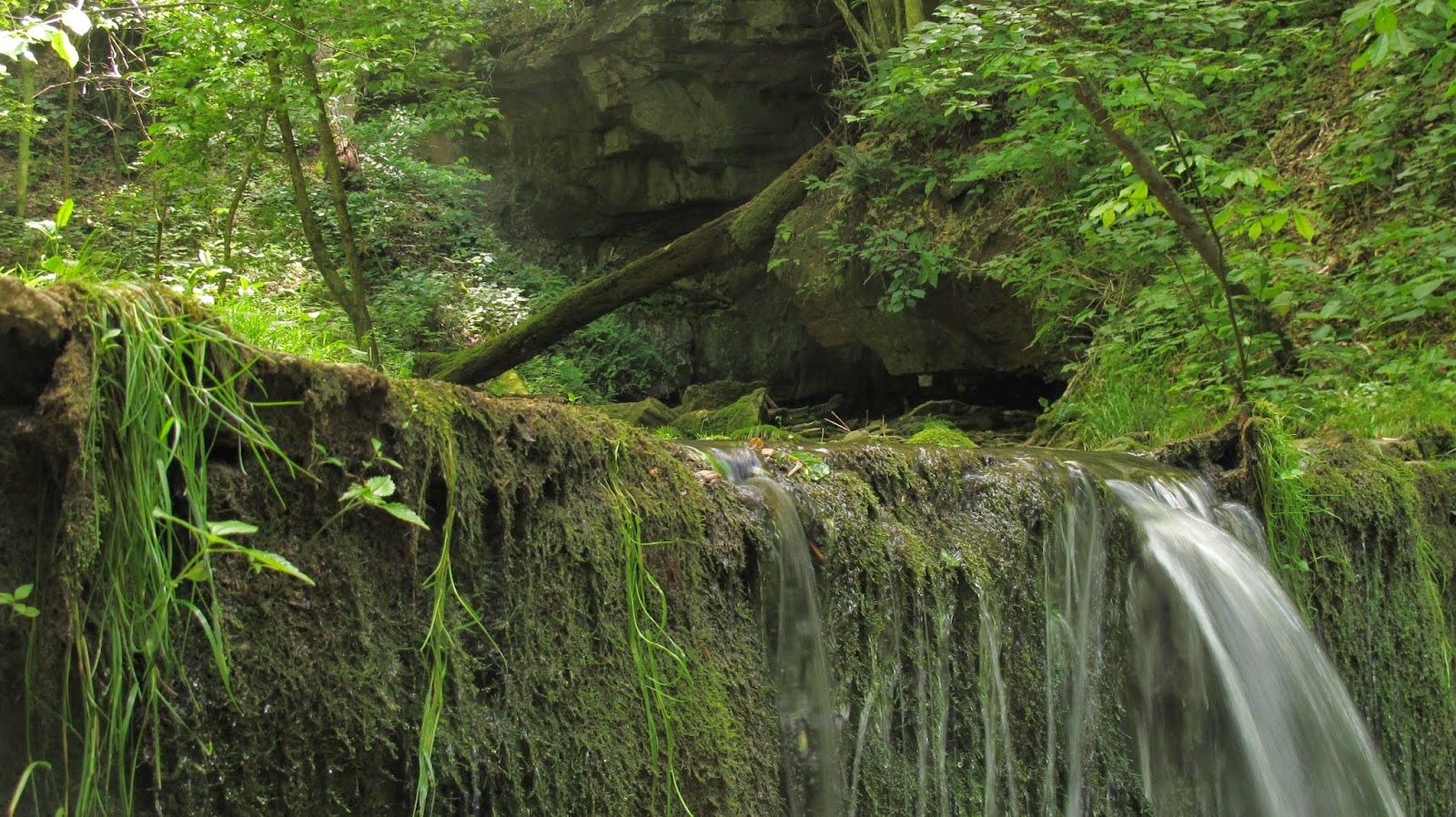 CAVE RIVER VALLEY ENDLESS CAVE - ADAM HAYDOCK