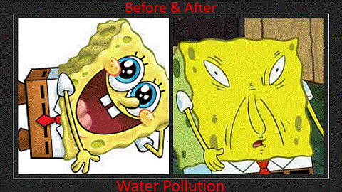 Chimacum World Solutions: Help Save Spongebob! Keep Our Water Safe!