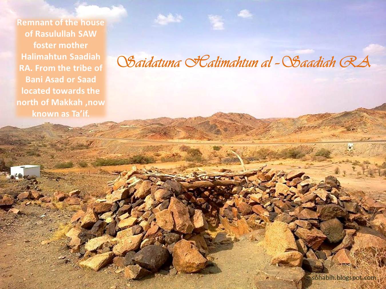 THE COMPANION: Saidatuna Halimahtun As -Saadiah RA