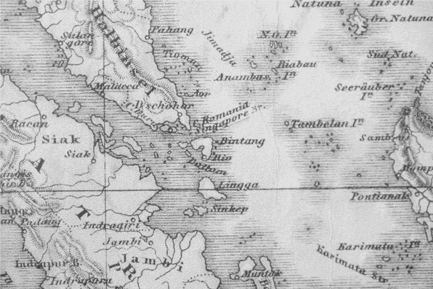 SEJARAH MELAYU DAN ISLAM DI NUSANTARA: SEJARAH AWAL KESULTANAN JOHOR