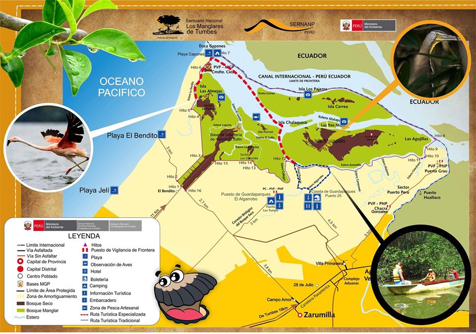 Santuario Nacional Los Manglares de Tumbes