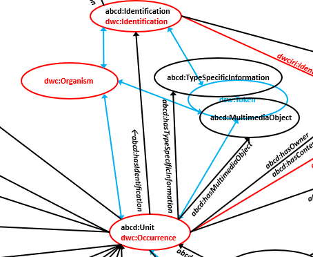 Steve Baskauf's blog: Comparing the ABCD model to Darwin Core
