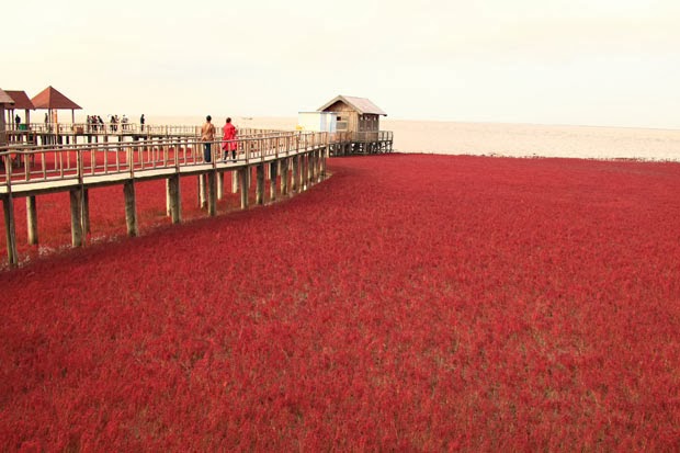 Red Seabeach Panjin China | Explore World Wonders Amazing World ...