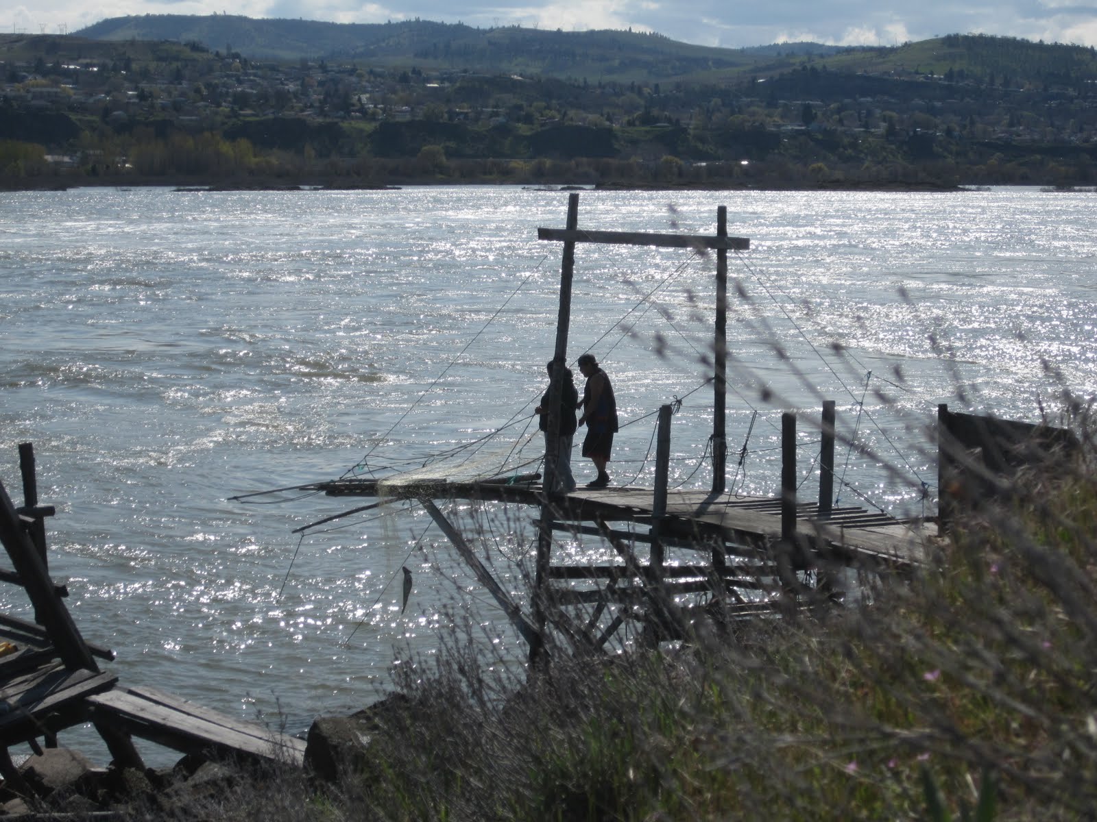 Raptors and Rainstorms: The Native Fishermen Raptors and Rainstorms: The Native Fishermen