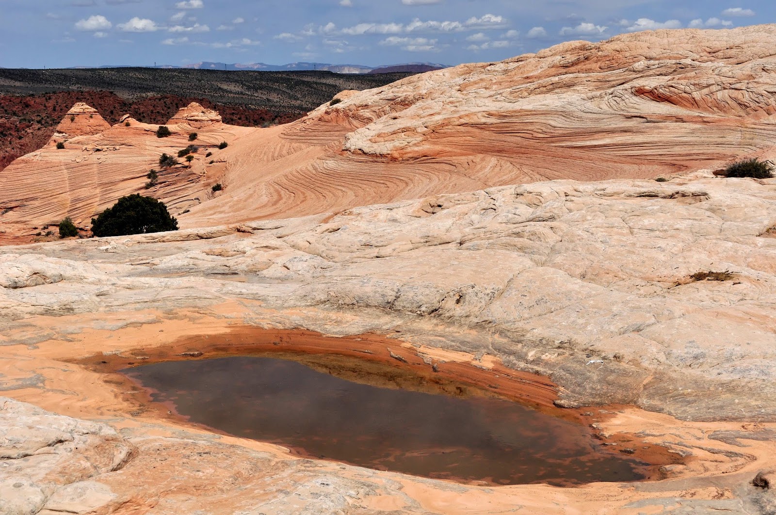 Les voyages de Michèle et Jean-Michel: West Clark Bench - Maze Rock Art ...