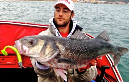 Periodista de pesca: Dial de Pesca nº 14. Radio deportiva por Internet ...