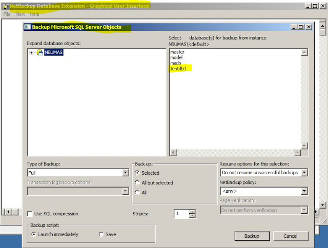 Remote Infrastructure Management: MS SQL SERVER Backup and Recovery ...