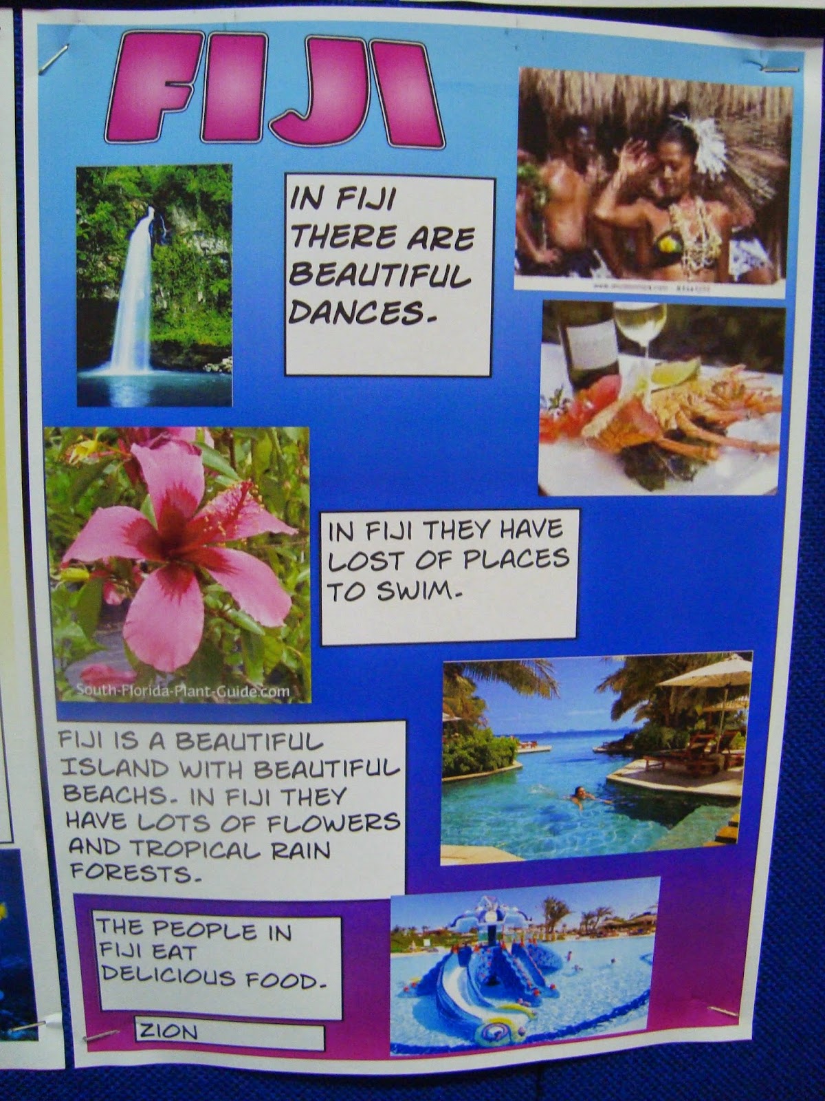 Welcome to Room 12's Amazing Blog 2018: Our Poems and Reports about Fiji