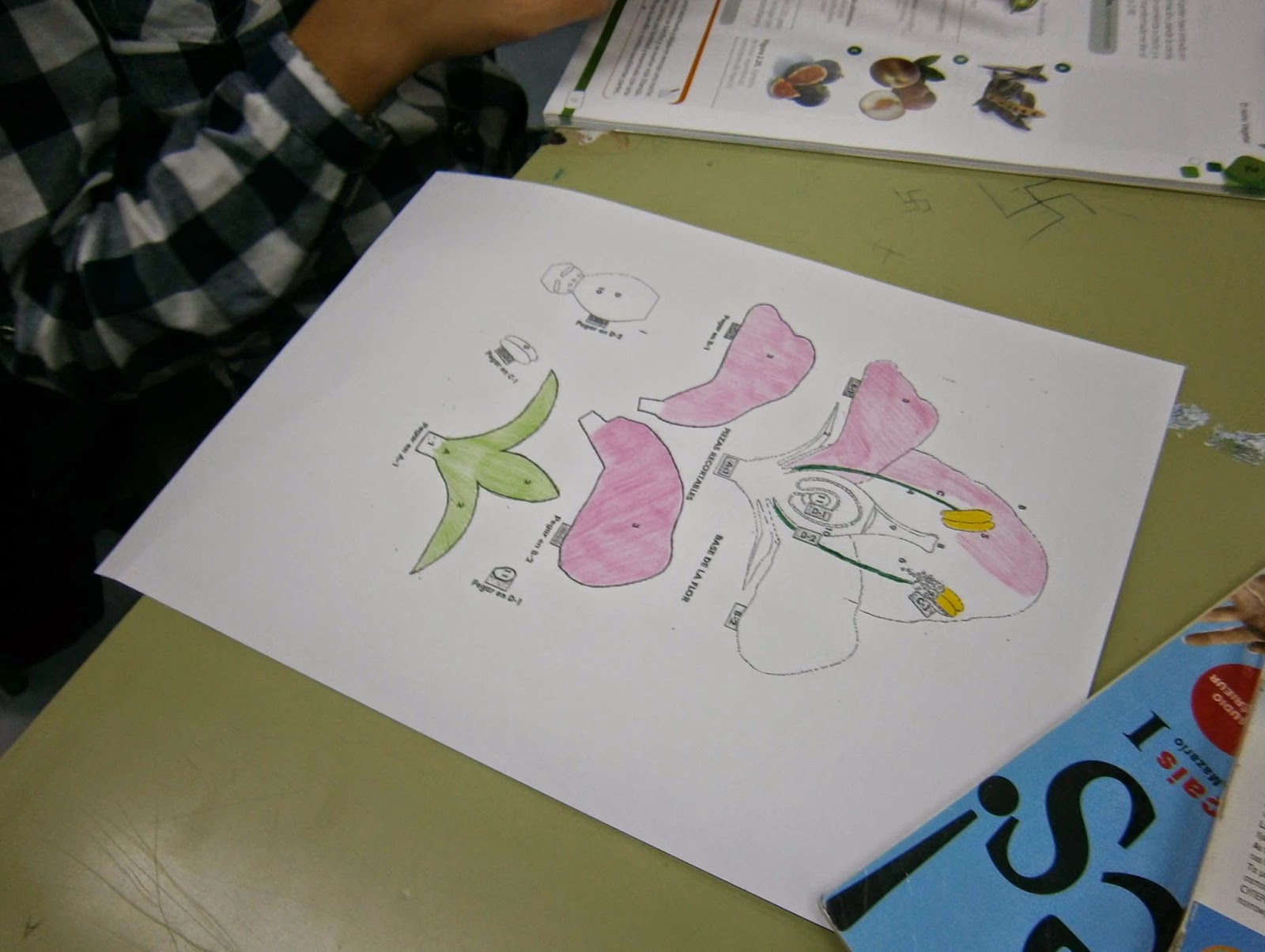 GERMINADOR DE SEMILLAS Y RECORTABLE DE LA FLOR