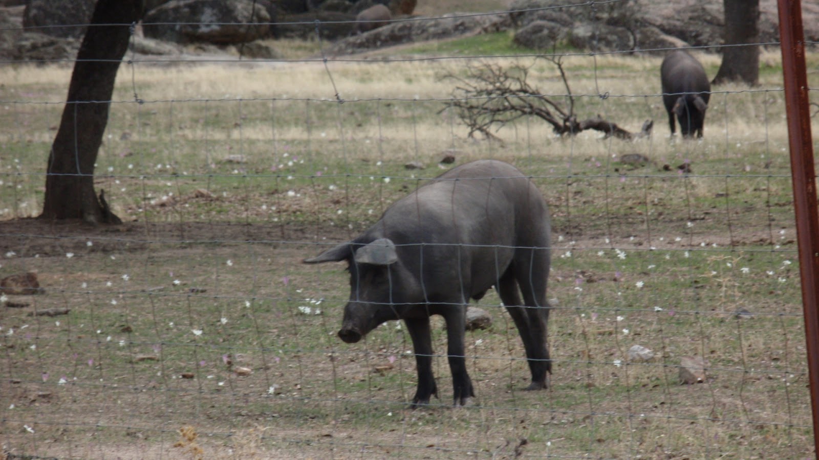 kamorkamtb: Una bonita y larga experiencia