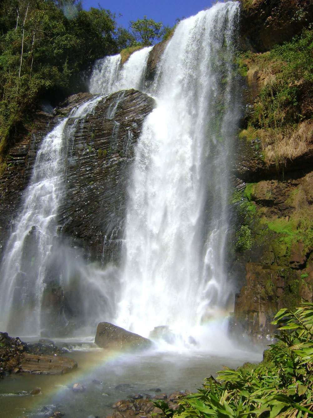 VisualDesigner: Origem: DESCALVADO - SP