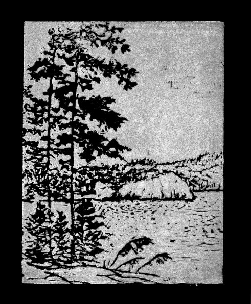 My Printmaking Journey: Relief printmaking using styrofoam