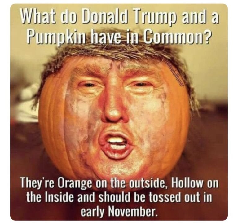 Donald Trump Memes