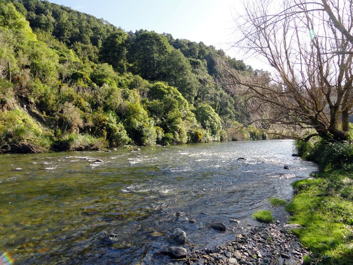 Bros in New Zealand: Kaitoke Regional Park (Rivendell)