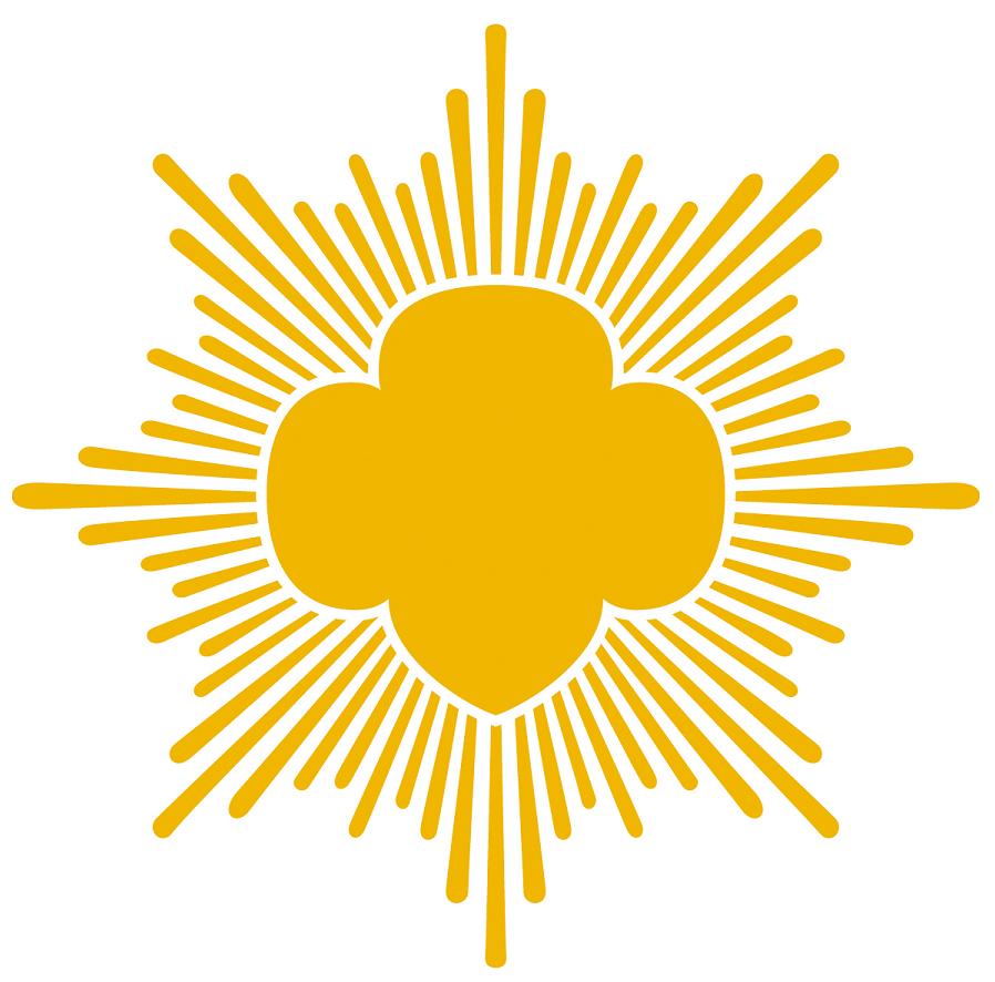 Focus On The Girl Scout Gold Award Girl Scout Blog Focus On The Girl Scout Gold Award Girl Scout Blog