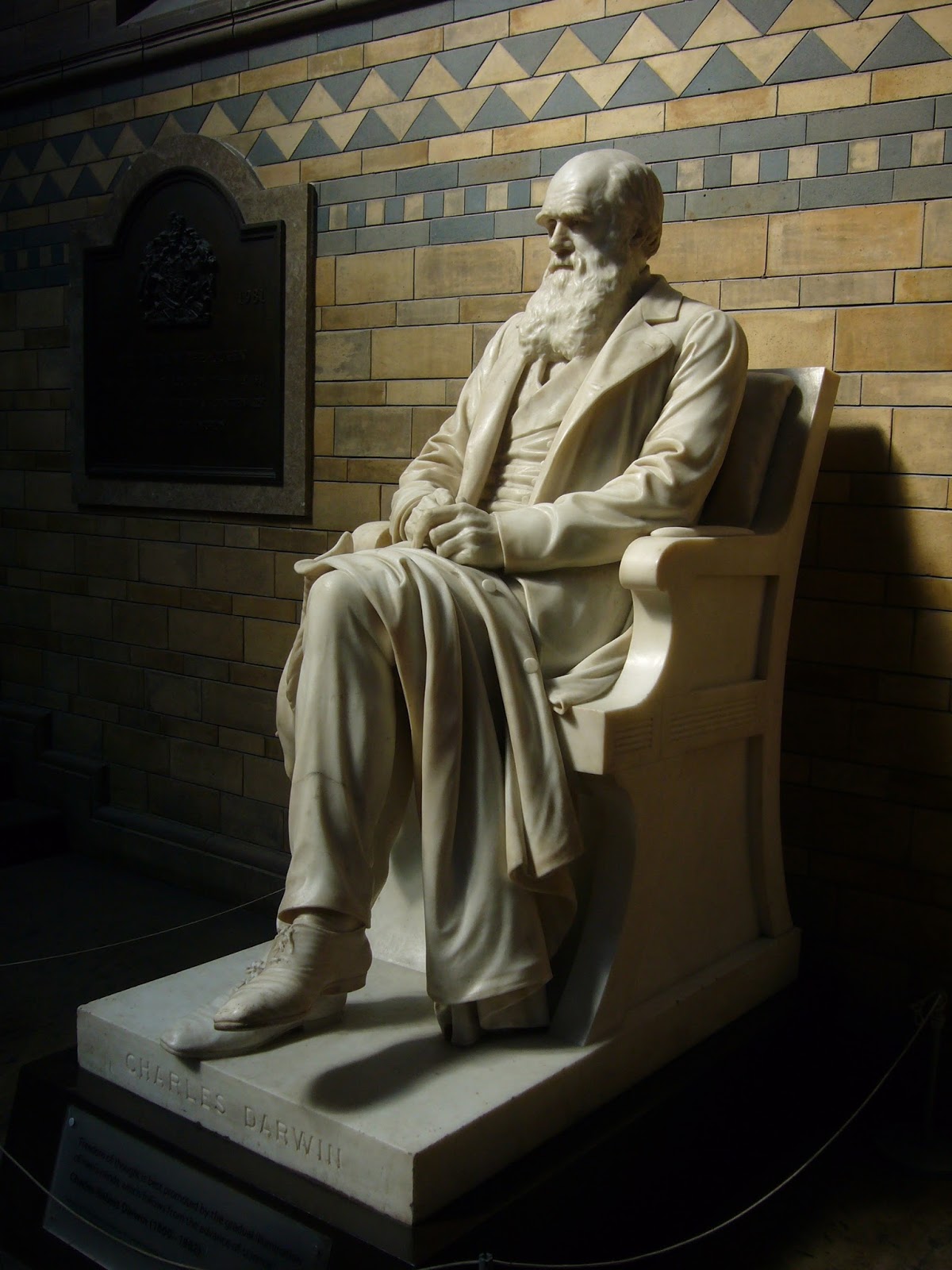 Holmes and Poirot in London: チャールズ・ロバート・ダーウィン（Charles Robert Darwin）