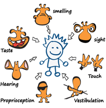 Raising My Little Superheroes : What is Sensory Proprioception?