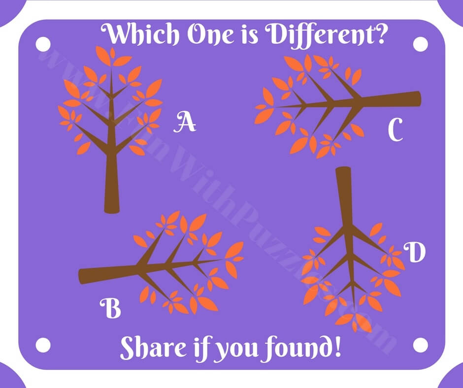Picture Puzzles for Genius Minds with Answers