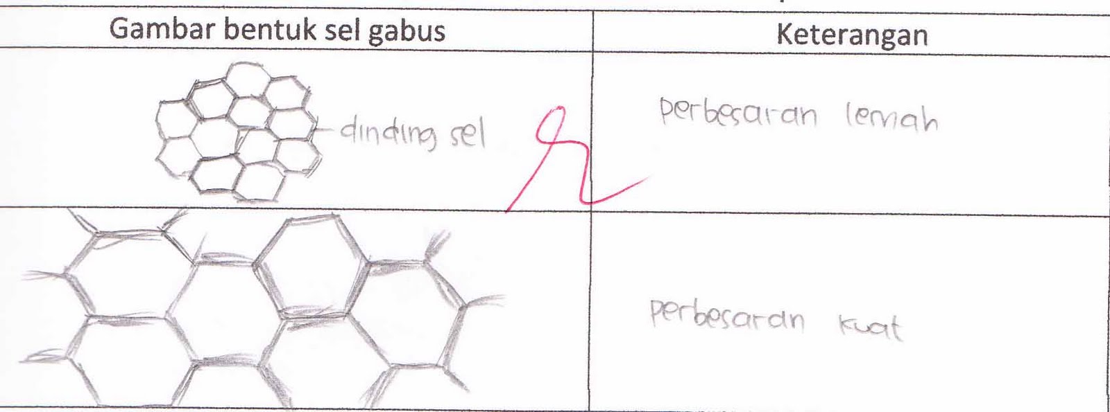deAlena: Laporan Paktikum Sel I