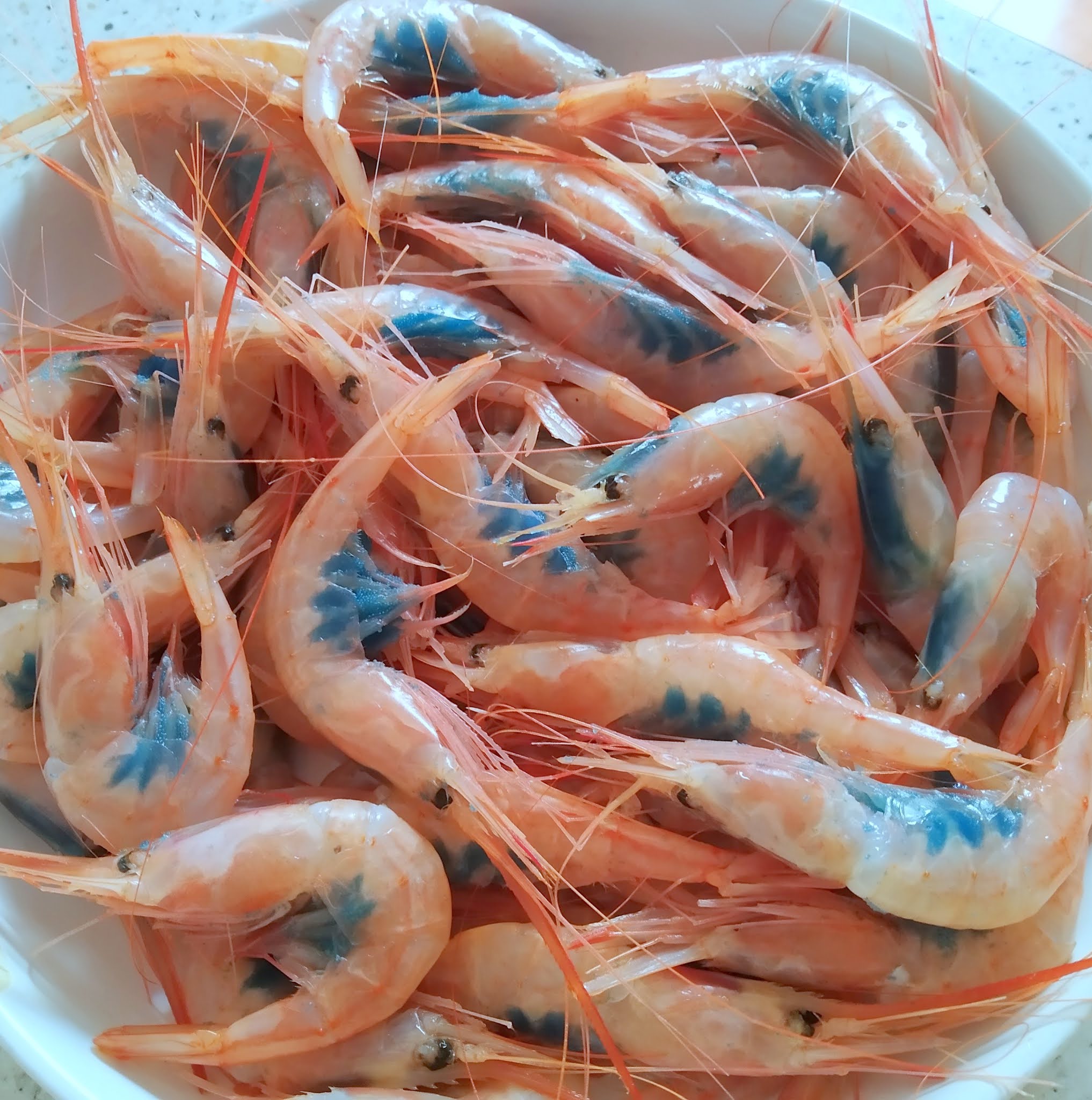 QUISQUILLAS DEL MAR DE ALBORAN CRUDAS ADEREZADAS CON UNA EMULSION DE ...