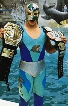 ¿QUIEN ES QUIEN? LUCHA LIBRE