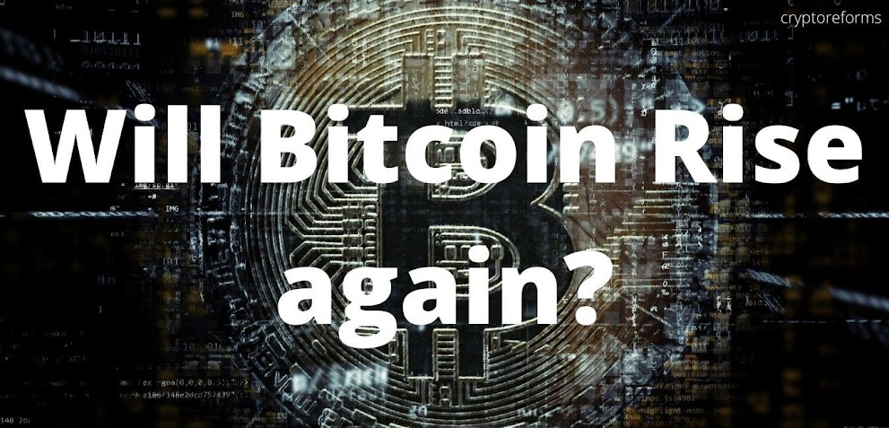 Could Crypto Rise Again / Crypto Update: Cryptocurrencies Rise Again as ...