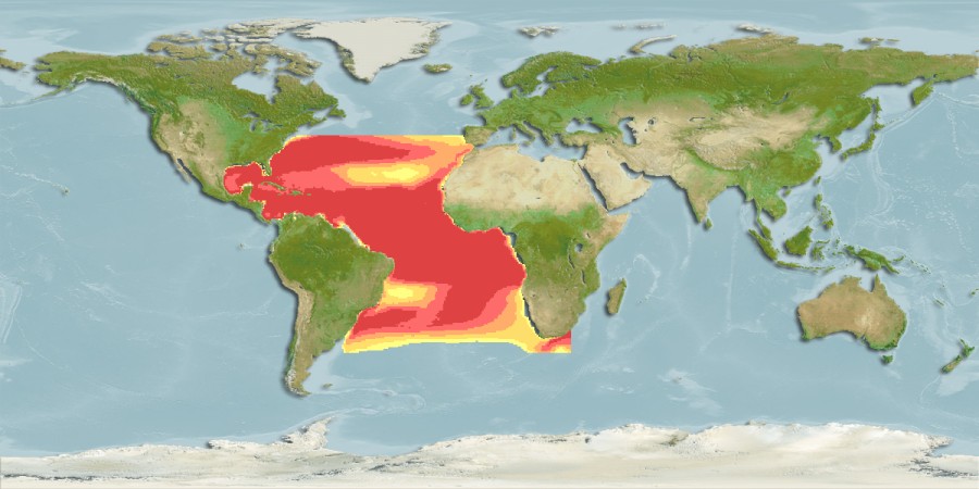 Artes de Pesca: ACTINOPTERYGII
