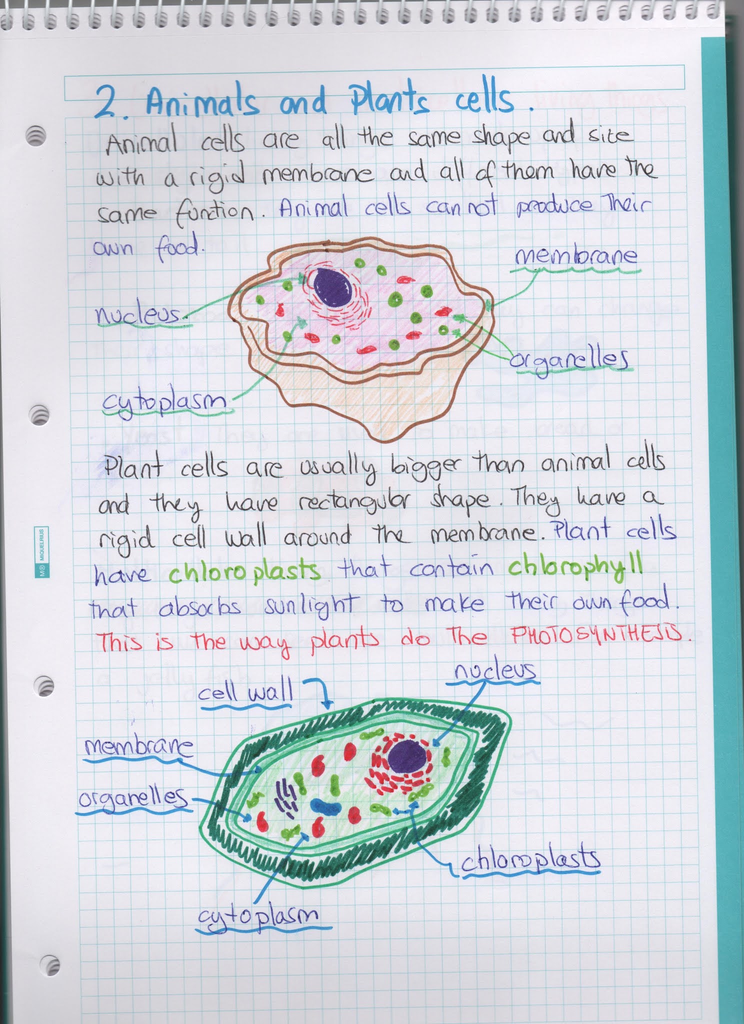 Natural Science 5th course: UNIT 1: LIVING THINGS AND CELLS