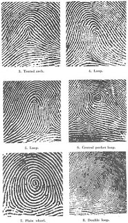 What is Fingerprint Sensor Technology? How does fingerprint sensing work?