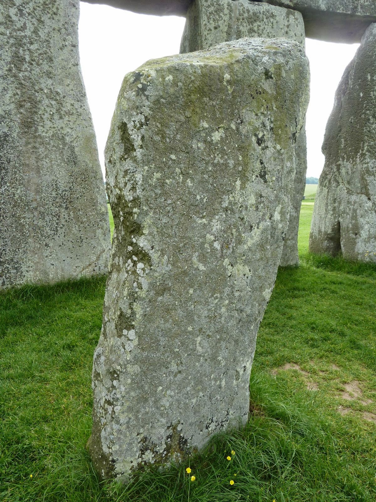 The Stones of Stonehenge: Stone 49