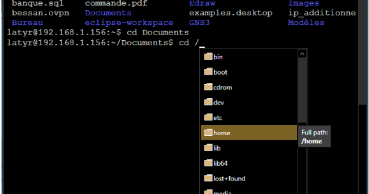 SSH client : SmarTTY