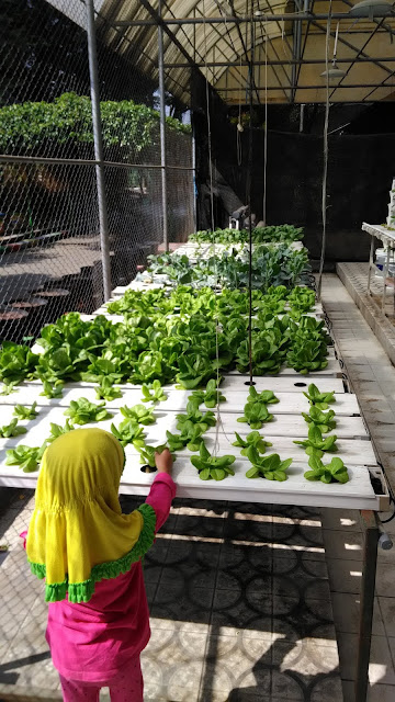 Tujuh Hal Seru yang Bisa Dilakukan di Mini Agro Wisata Surabaya | Dee ...