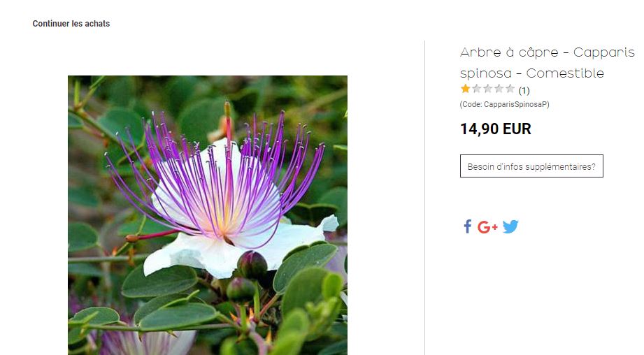 Ma poubelle est un Jardin