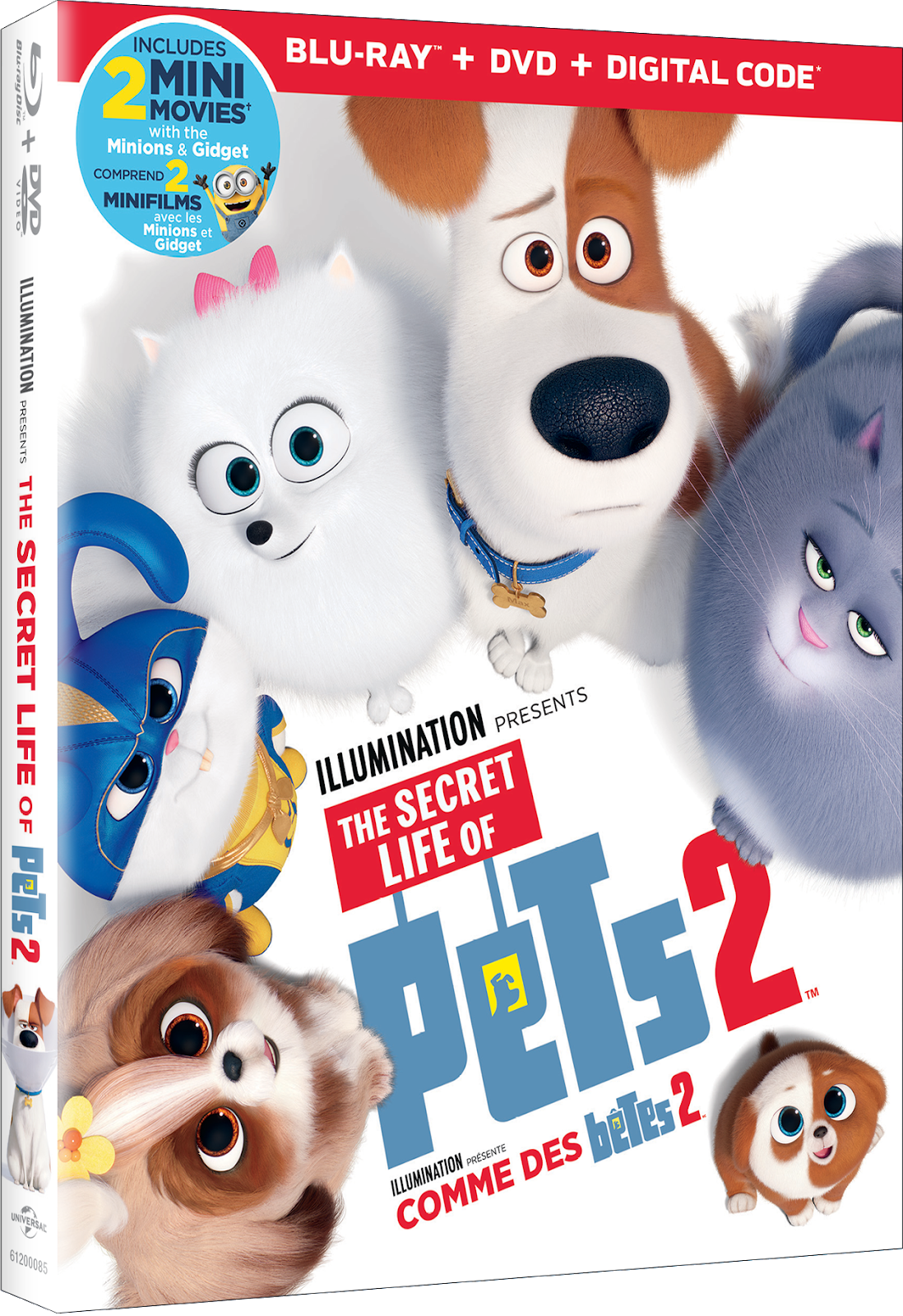 [Critique DVD] THE SECRET LIFE OF PETS 2 / Minion Scouts / Super Gidget ...
