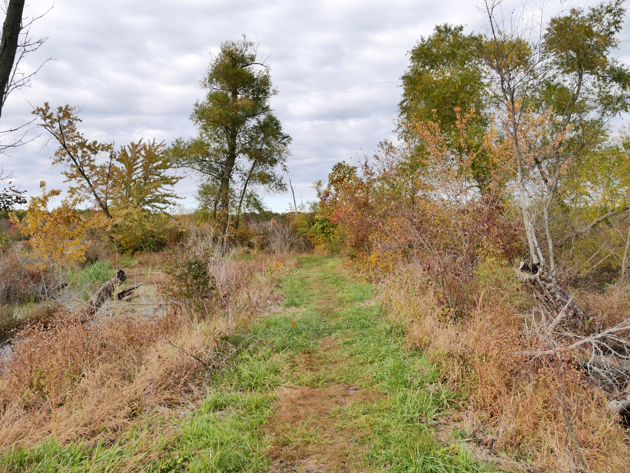American Travel Journal: Great Marsh Trail - Indiana Dunes National Park