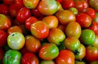 "KAMATIS" or Tomato: Health Benefits