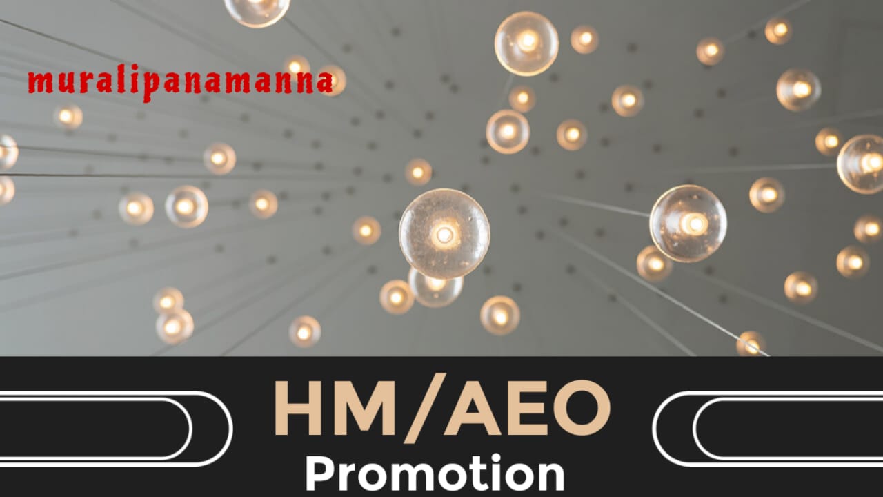 Promotion/Transfer & Postings-HM/AEO