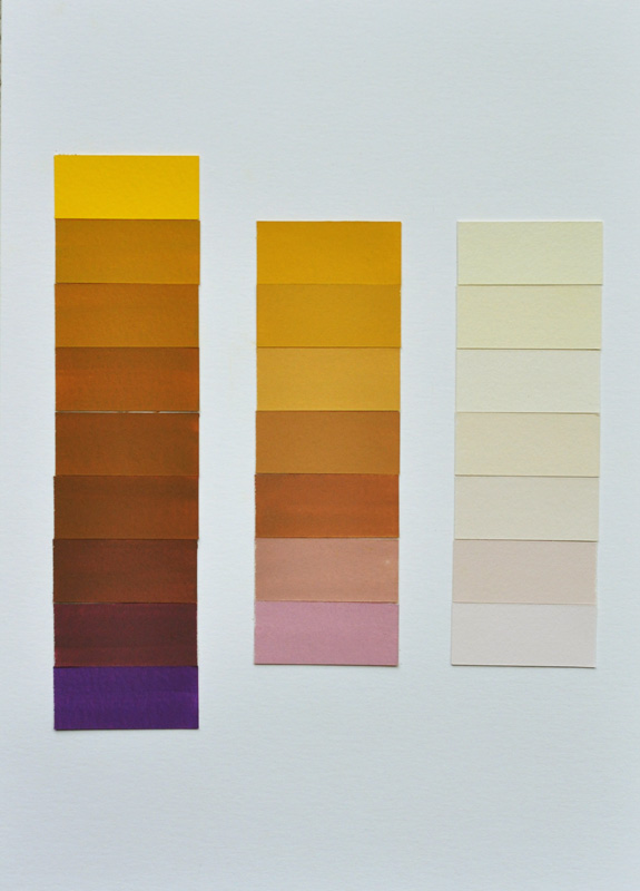 Donna Vercoe Blog: Lesson 3 - Intermixed Complementary Colors