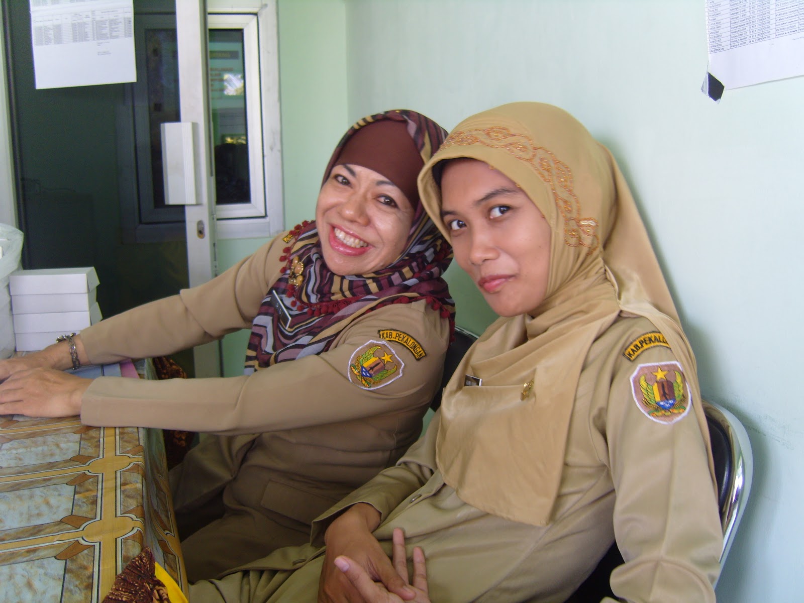 DINAS PMD P3A DAN PPKB Kabupaten Pekalongan: SOSIALISASI DATA PILAH GENDER