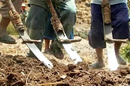 LA CHAQUITACLLA EIRL.: CHAQUITACLLA