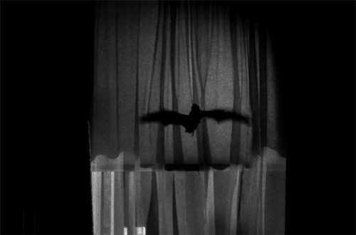 The Styrous® Viewfinder: 20,000 vinyl LPs 213: Miklós Rózsa ~ The Lost ...