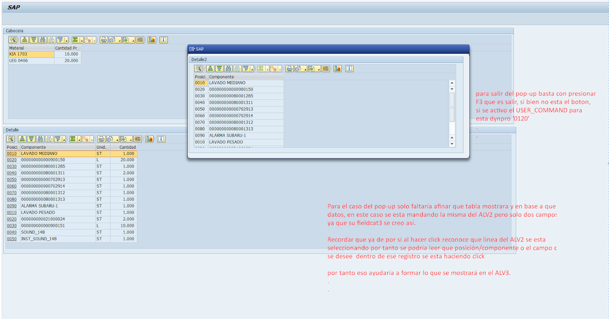 APUNSAP: LUNES 30 - ALV CONTAINER