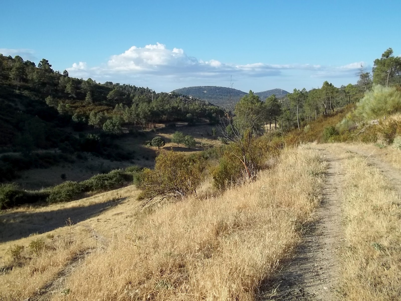 SIGUE EL SENDERO: * Río Cofio.