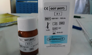 Prácticas Bioquímica: Determinación GOT (AST)