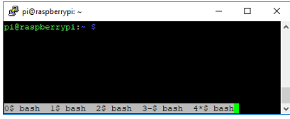 Cara Multitask di Terminal Linux Dengan Layar - Ninna Wiends