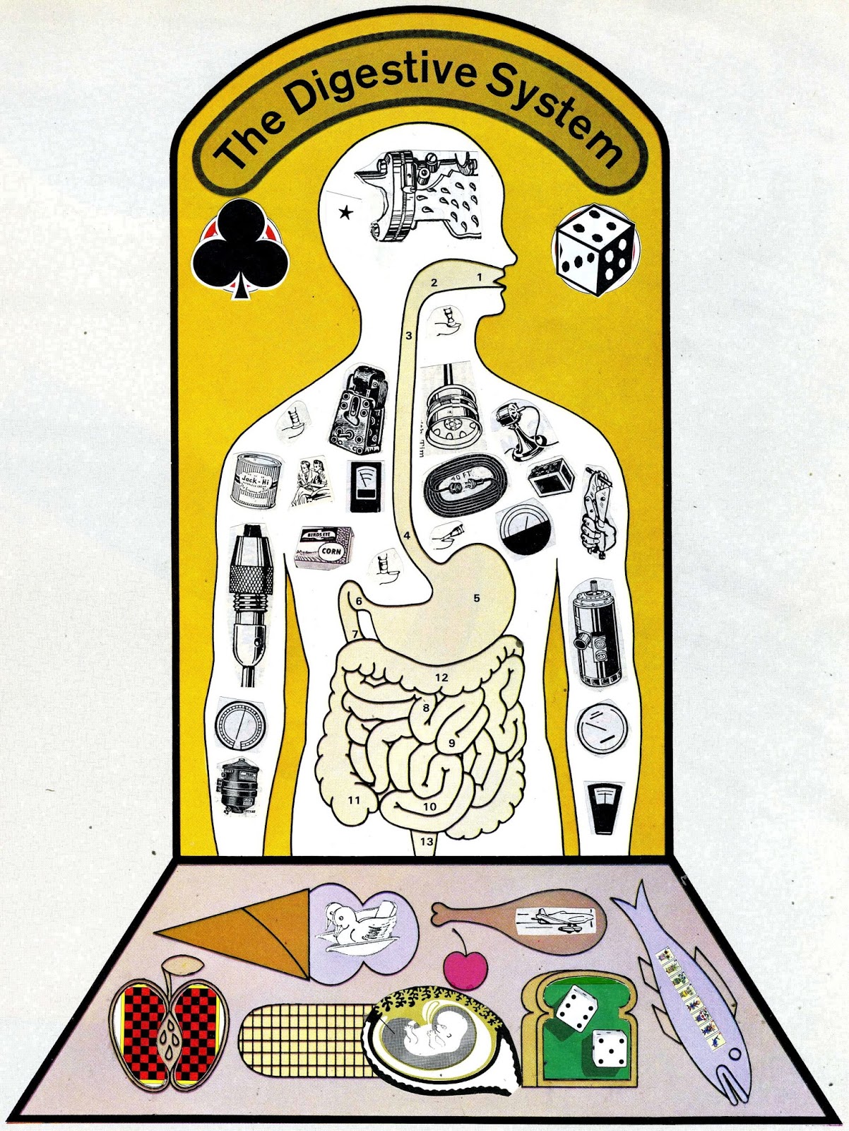 The Kollage Kit: The Digestive System