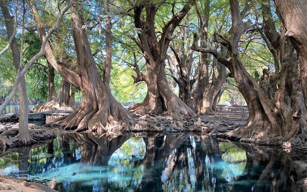 Lago de Camécuaro un Lugar Mágico en Michoacán